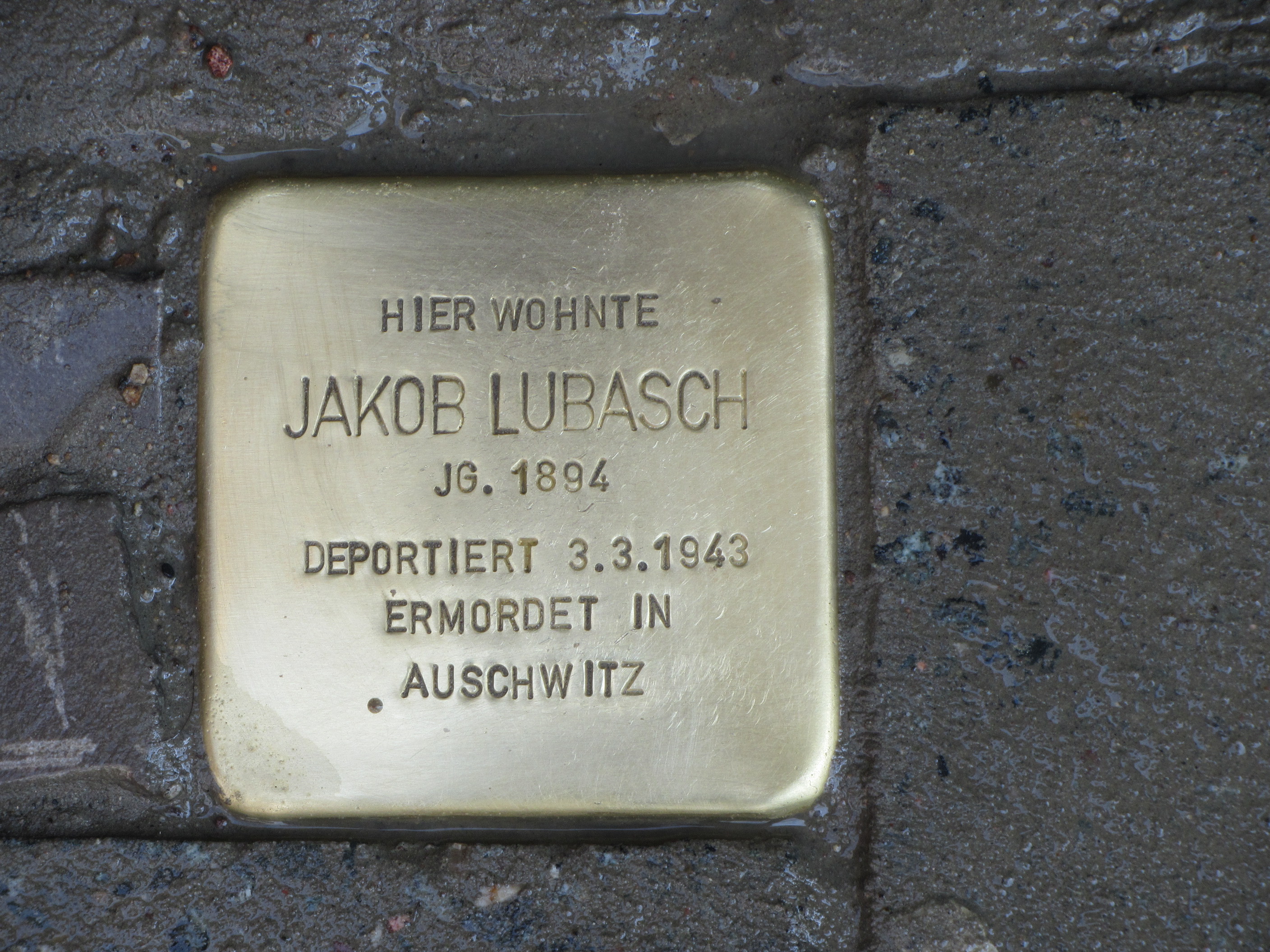 Stolpersteine Grainauer Straße 11, vormals Prager Straße 30 - Berlin.de