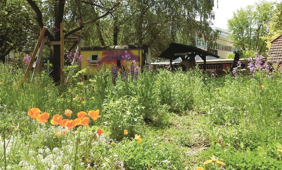 Kinderbauernhof NUSZ in der ufaFabrik e.V. - Berlin.de