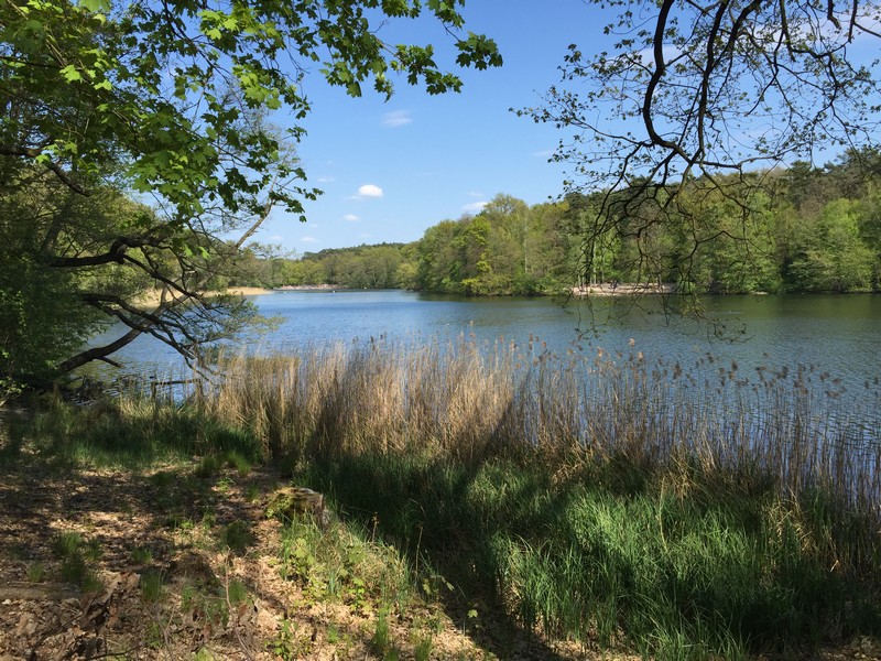 Krumme Lanke – Berlin.de