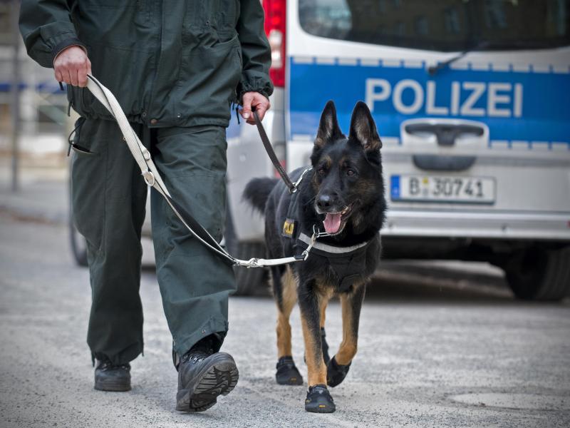 102 Polizeihunde in Berlin im Einsatz – Berlin.de