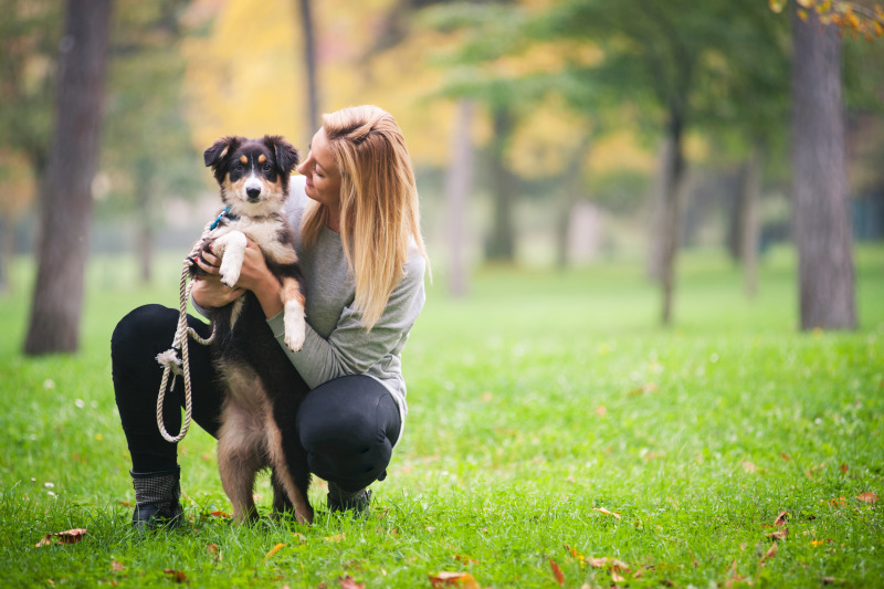 Hundehaltung - Berlin.de