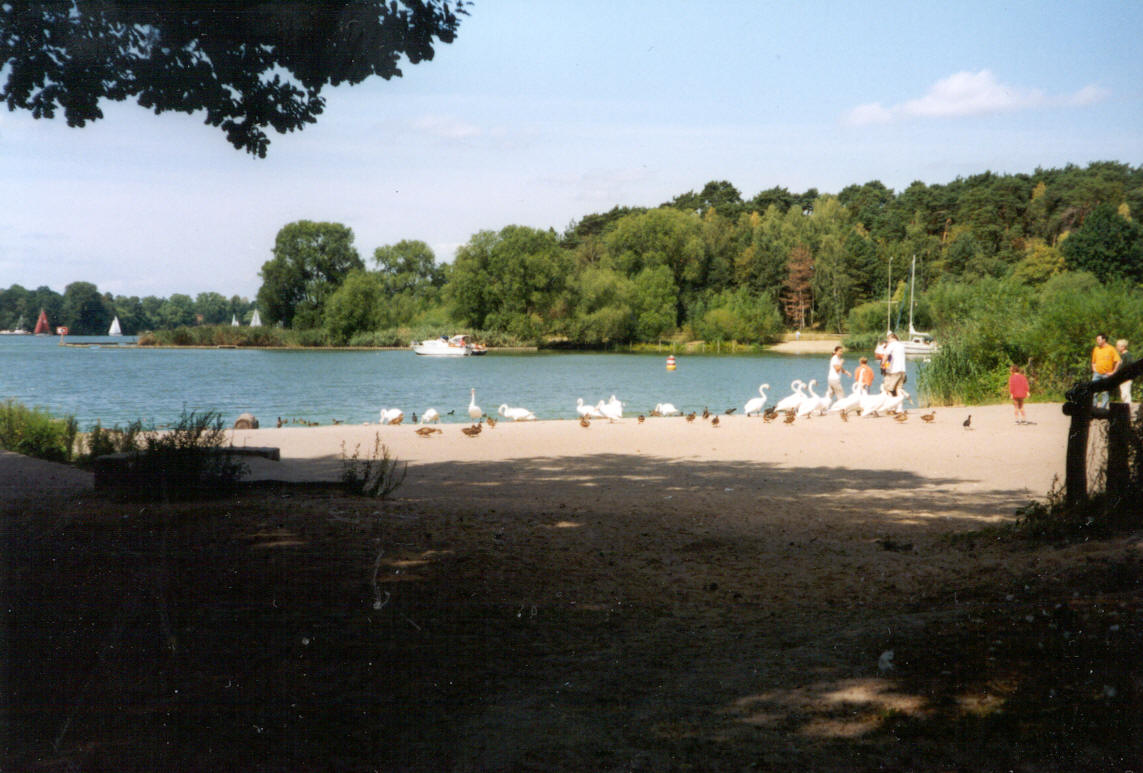 Lieper Bucht | Havel | Steglitz-Zehlendorf - Berlin.de