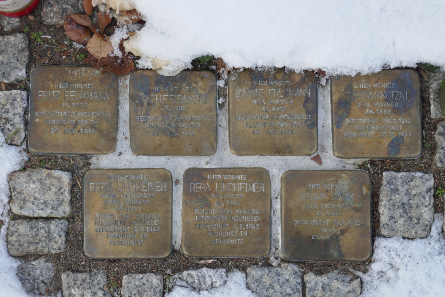 Stolpersteine – Fritz, Ruth und Sophie Feldmann, Berta und Rega ...